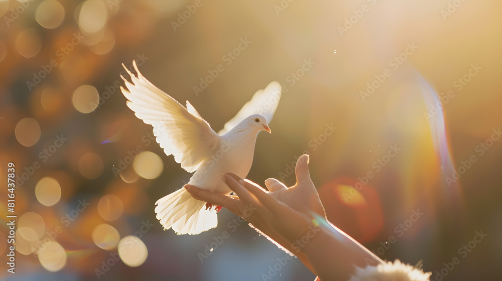 Praying hands and white dove flying happily on blurred background hope ...