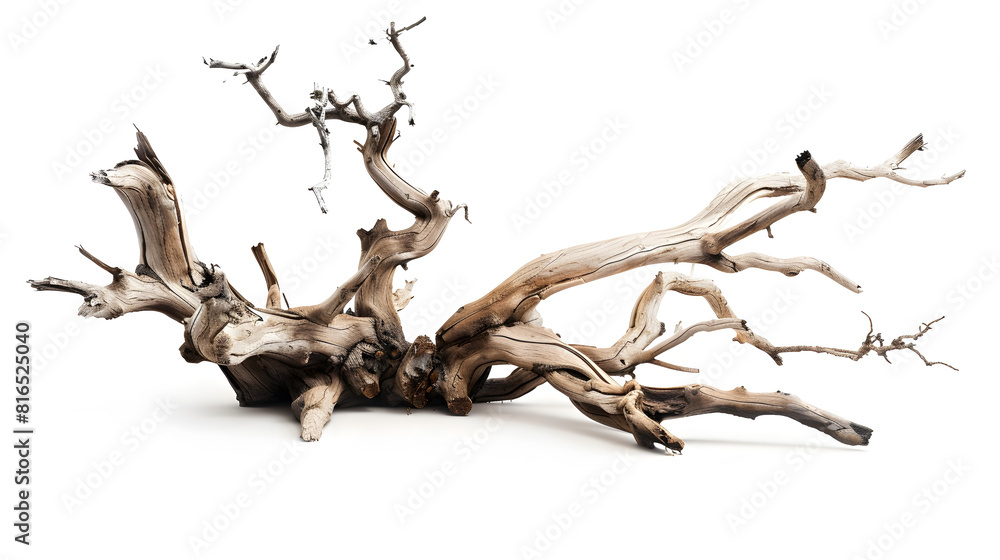 Dry branch of big dead tree with cracked dark bark stem Beautiful old ...