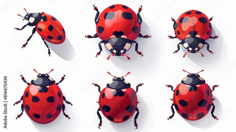 Ladybug, red with black spots beetle, winged flying insect set of ...