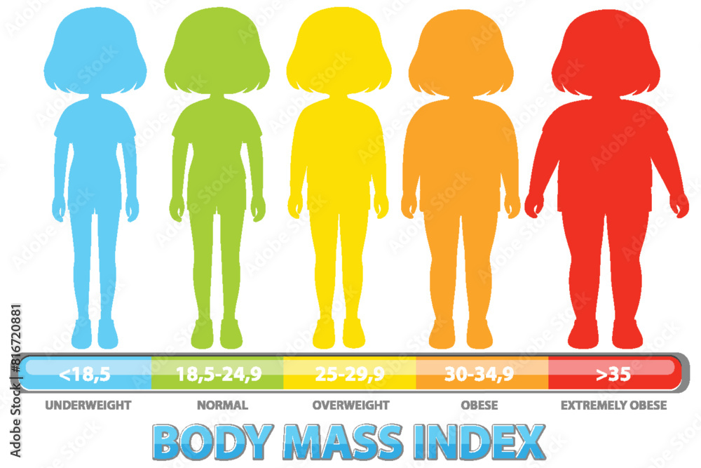Colorful BMI chart with human silhouettes Stock Vector | Adobe Stock