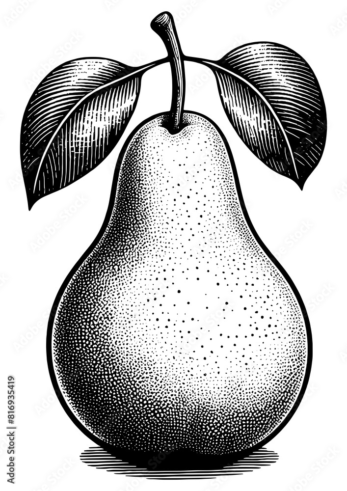 Pear with leaves fruit plant food sketch engraving generative ai PNG ...