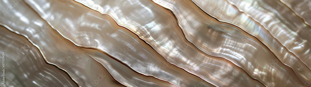 Abstract Mother of Pearl Background: Elegant Iridescent Shell Textures ...