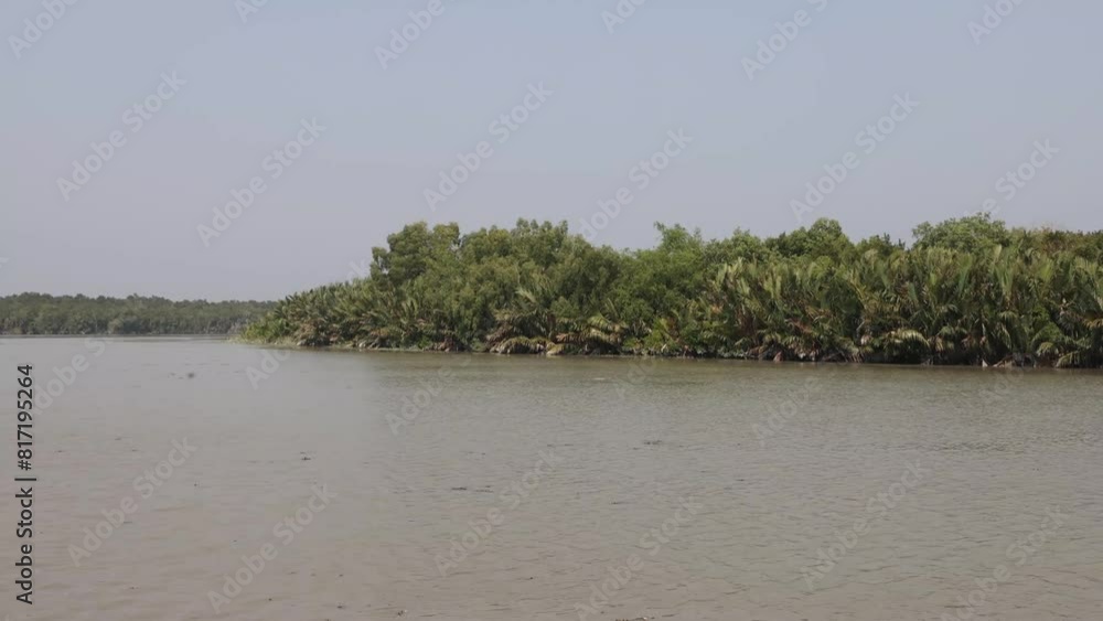 4K footage of Sundarbans (without editing).Sundarbans is the biggest ...