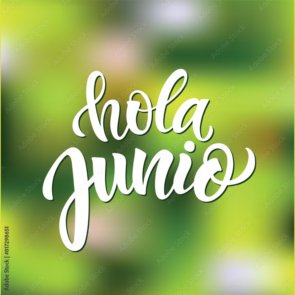 Hola Junio (Hello June in Spanish) handwritten text, modern brush ...