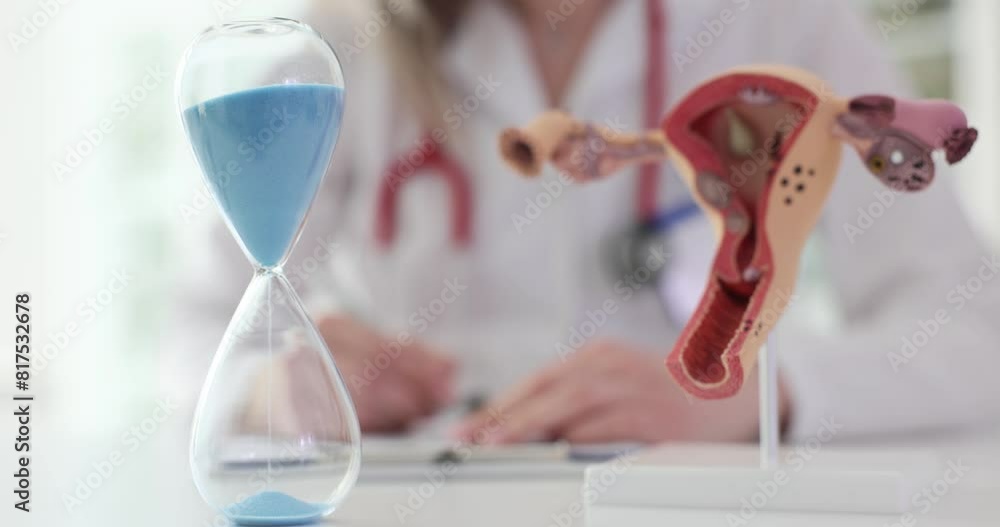 Anatomy of uterus in menstrual cycle and an hourglass on gynecologist ...