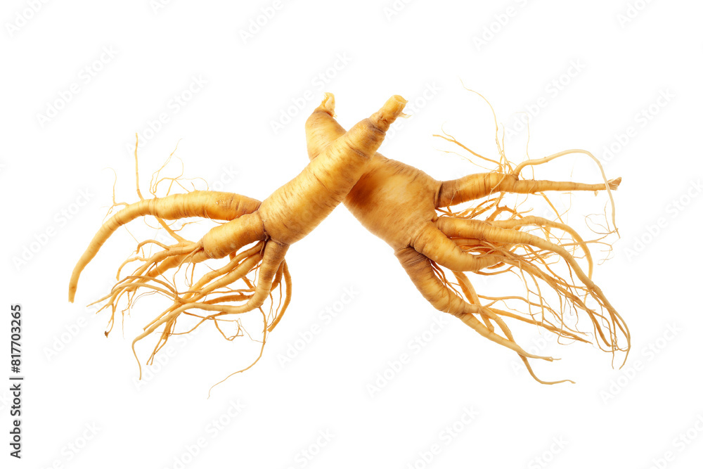 Two korean ginseng roots on transparent background. Two long, thin ...