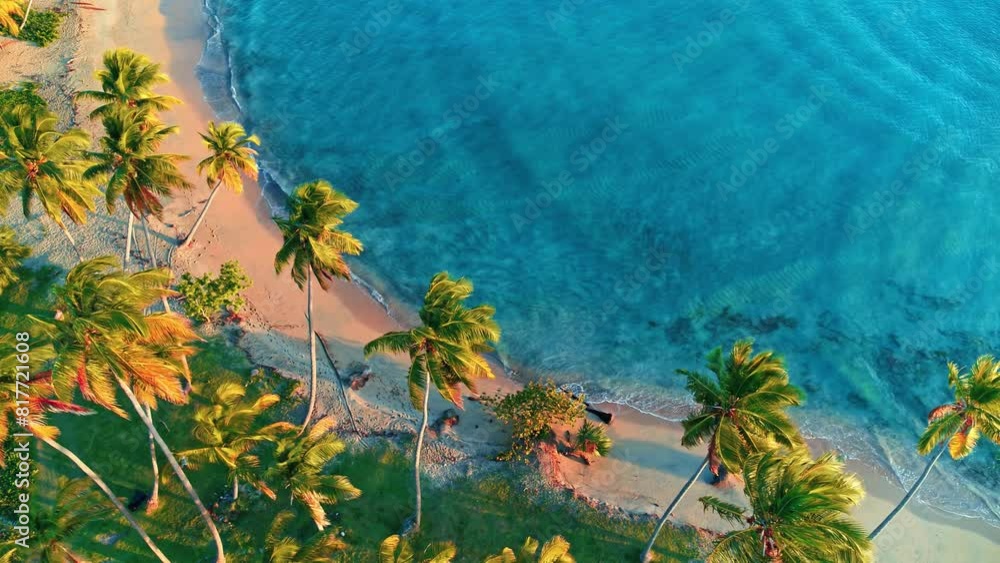 Evening Hawaiian beach with palm trees, top view. Amazing nature of the ...