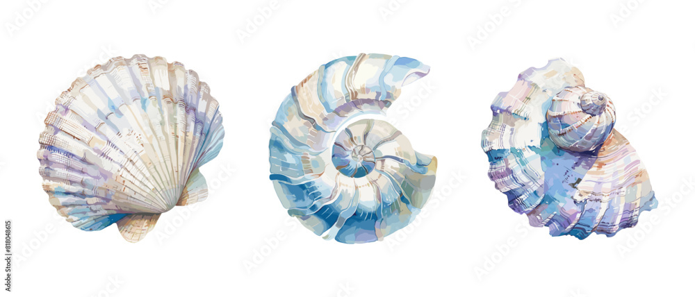 Set of colorful sea shells. Vector flat illustration Colorful sea shell ...