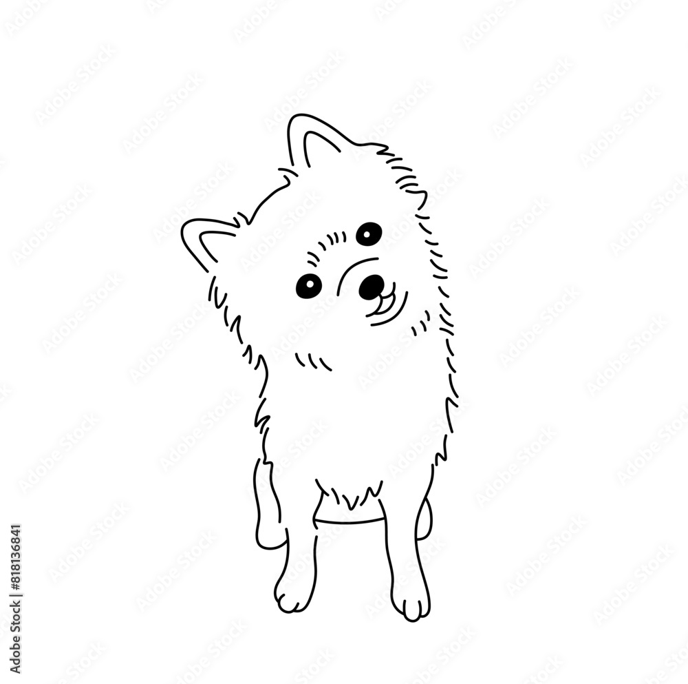 Vector isolated cute spitz dog tattoo colorless black and white contour ...