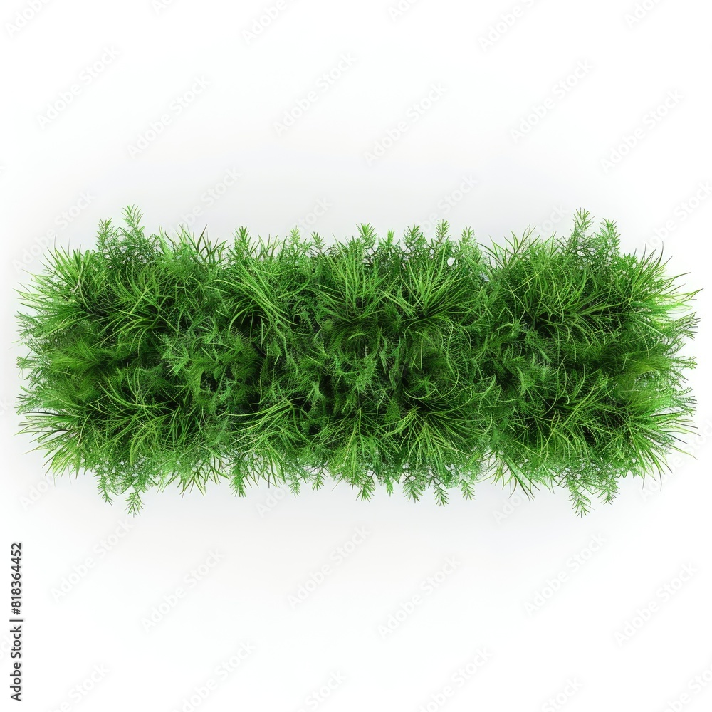 Top view long grass row perspective for landscape clipart 3d rendering ...