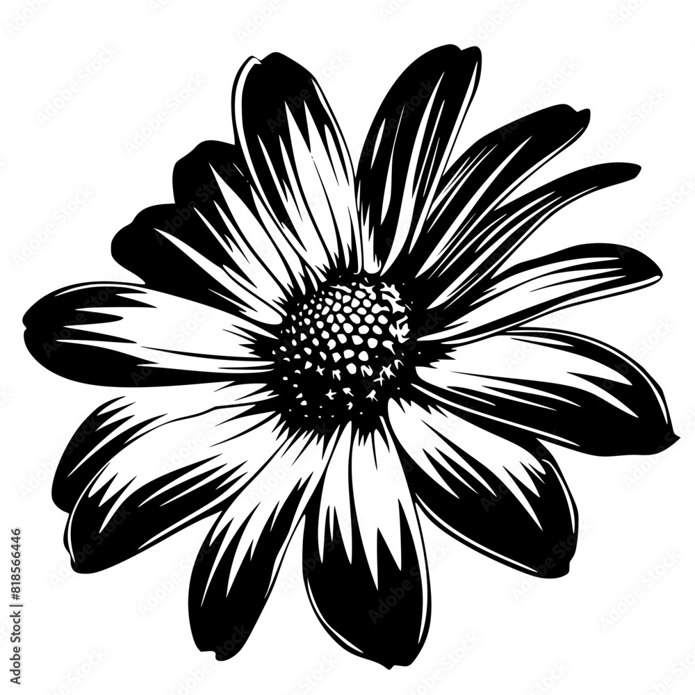 Daisy silhouette, daisy svg, daisy png, daisy illustration, Daisy ...