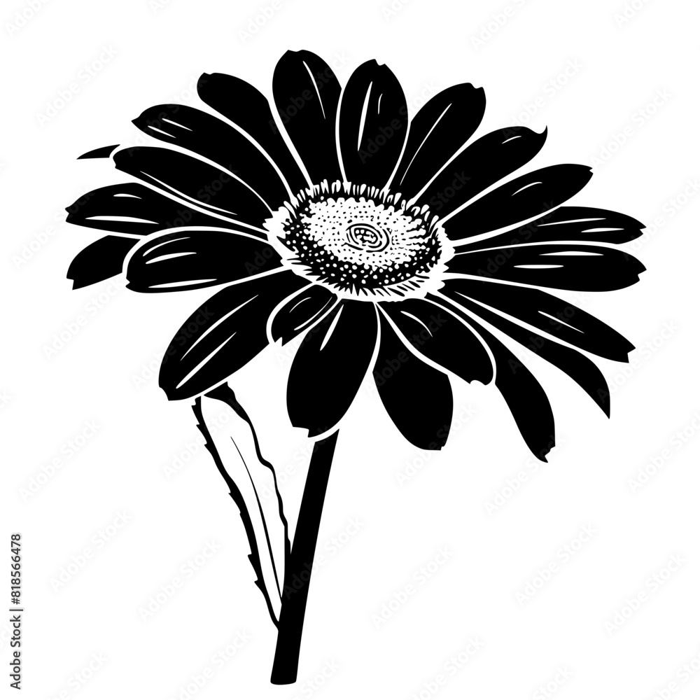 Daisy silhouette, daisy svg, daisy png, daisy illustration, Daisy ...