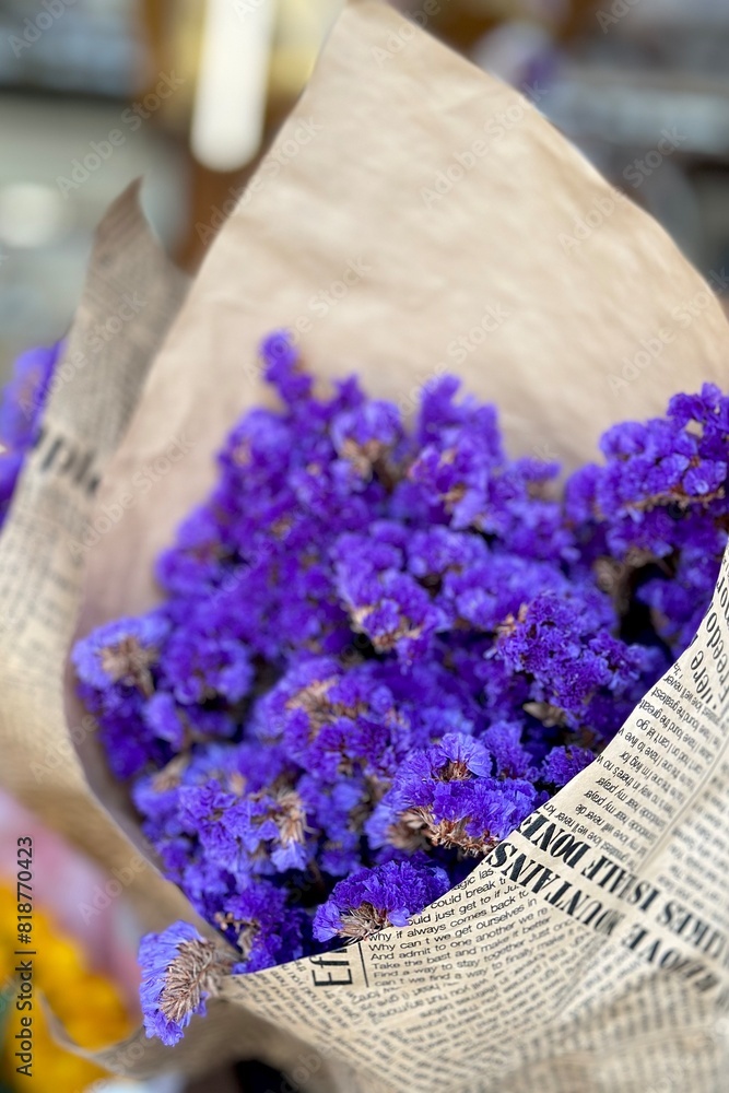 Statis is a small flowering plant. The inflorescence and petals ...