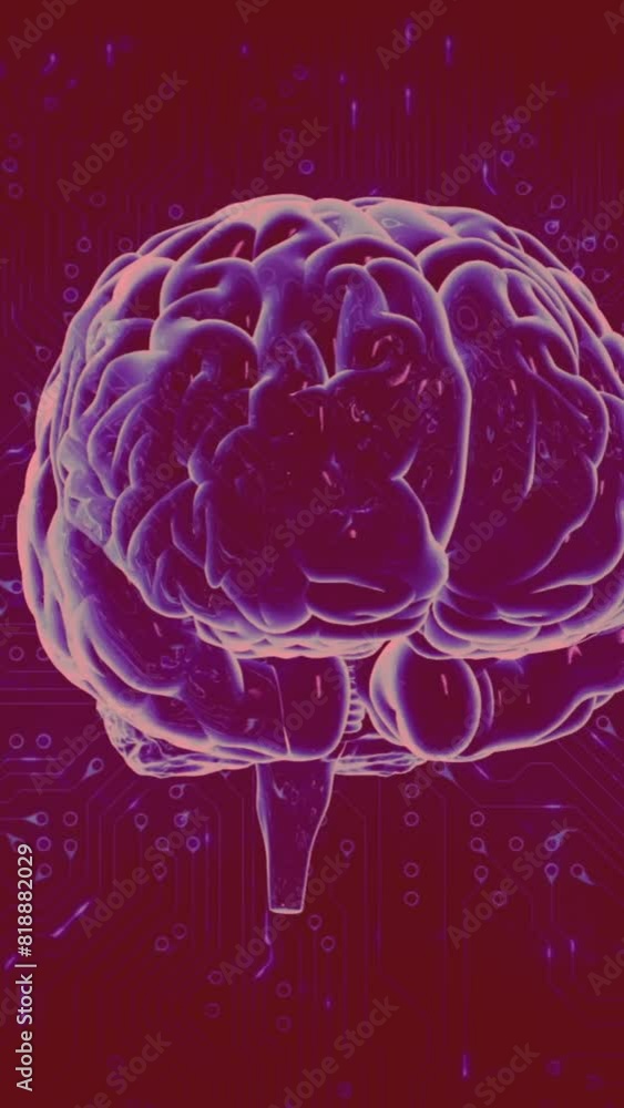 Brain spinning in a 3D animation, neurons sparkling. Human brain ...