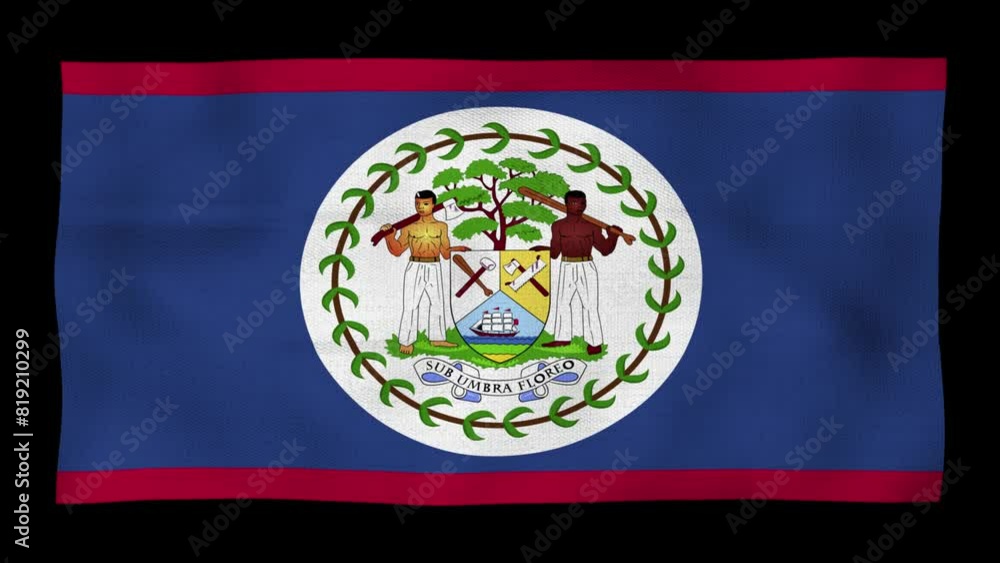 Belize's National Flag in a Dynamic Display: A Sign of Strength and ...