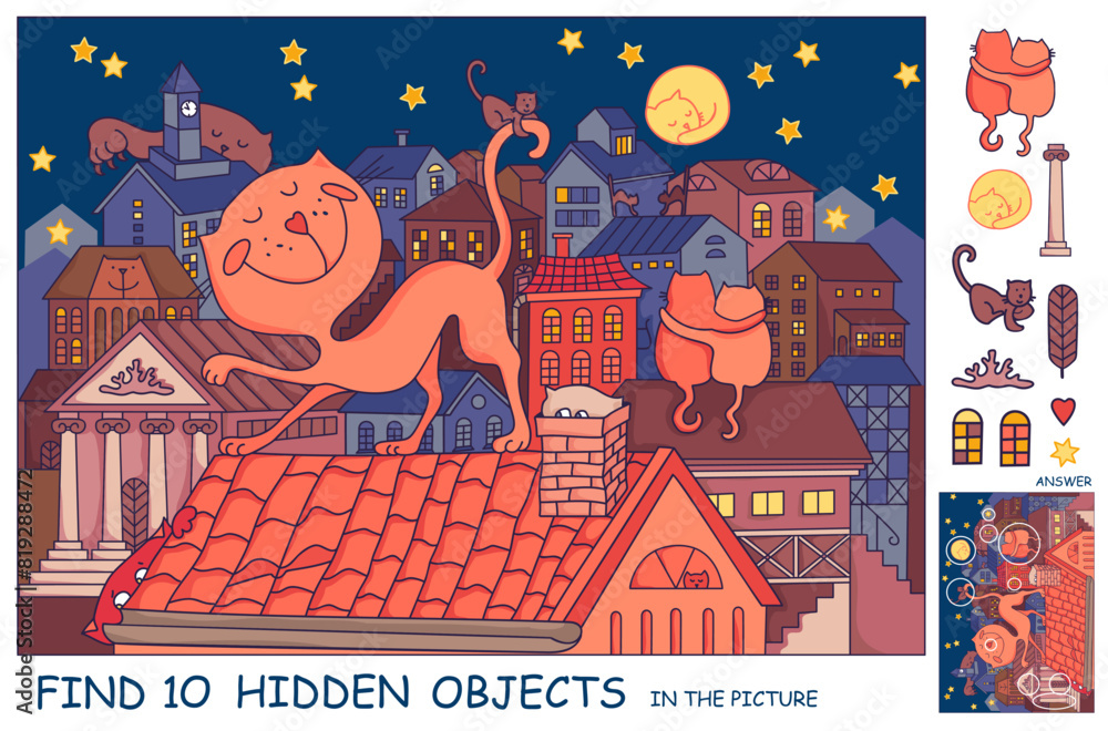 Find the hidden objects. Cats on the roofs of city houses at night ...