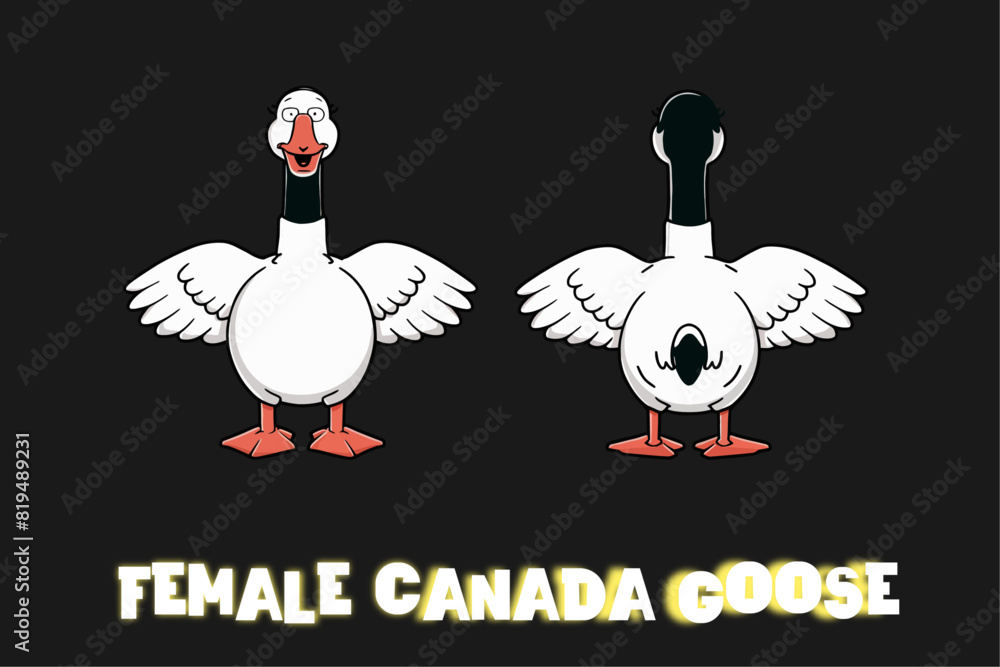 Vector Illustrated Female Canada Goose Cartoon Character Sheet Front ...