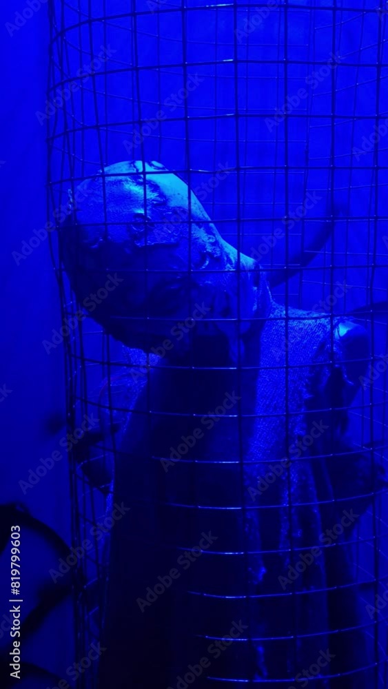 Horror scene. A terrifying caged figure in a dark room. Houses of fear ...