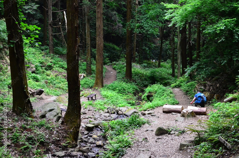 Mt.Hokyo is a 461-meter-high mountain located in the northeastern part ...