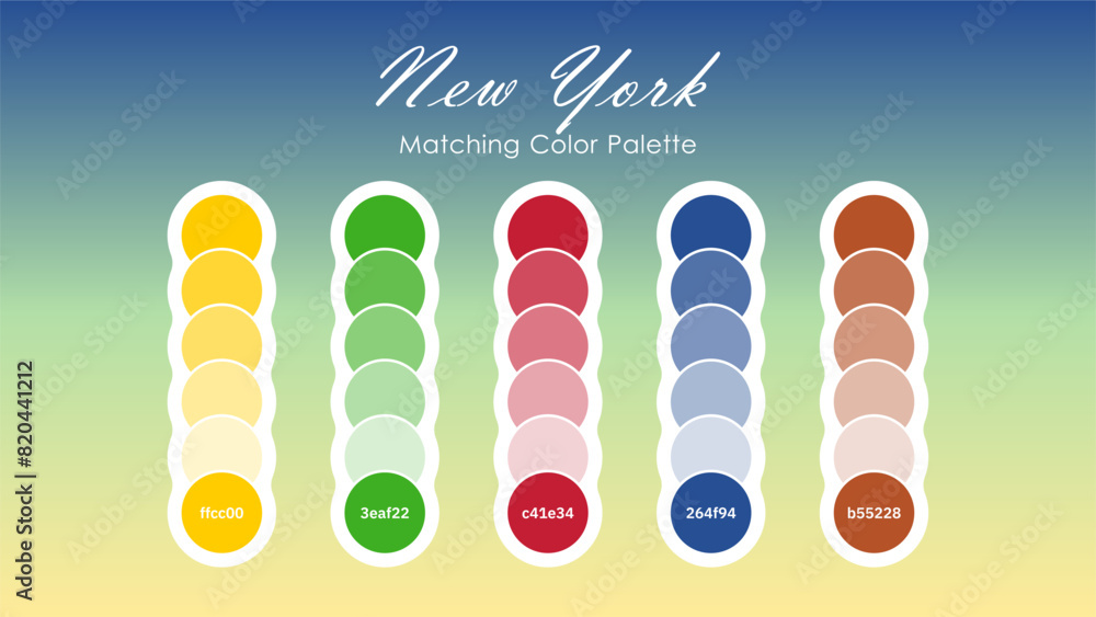 Set of New York Color Palette Combination in RGB Hex. New York City is ...