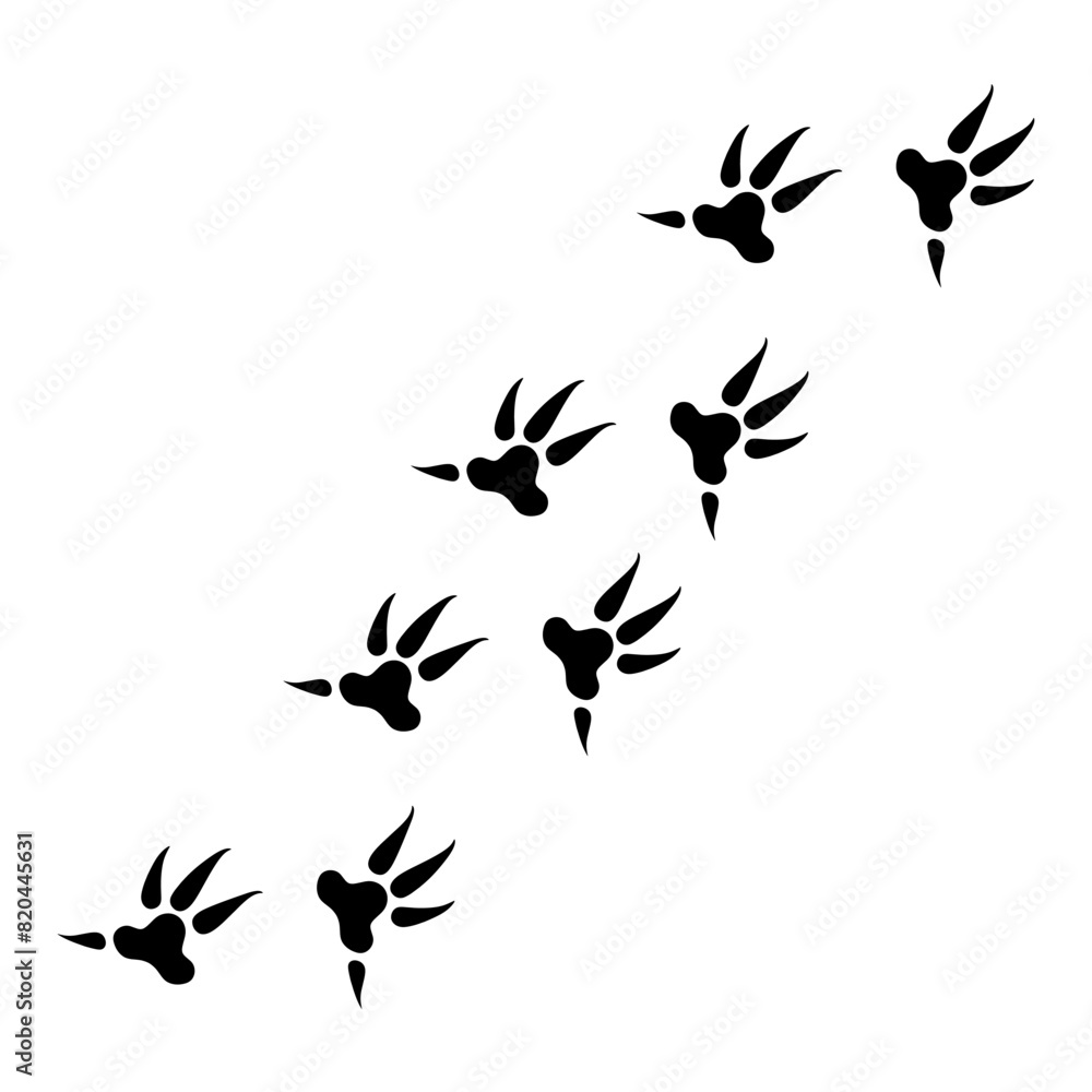 Vector silhouette of chicken footprints on white background. Chicken ...