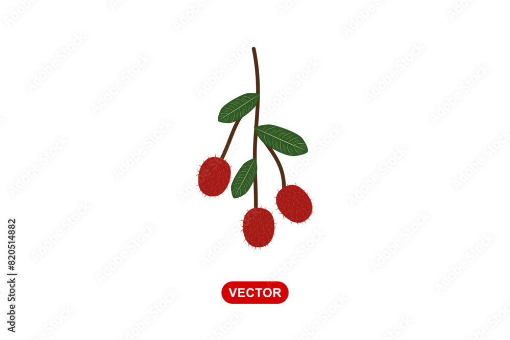 Rambutan or lychee isolated tropical fruit flat cartoon style design ...