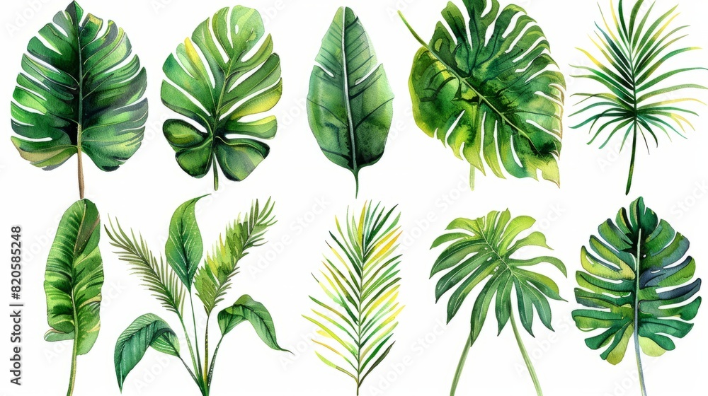 Watercolor painting tropical plant clipart, detailed, stationery, white ...
