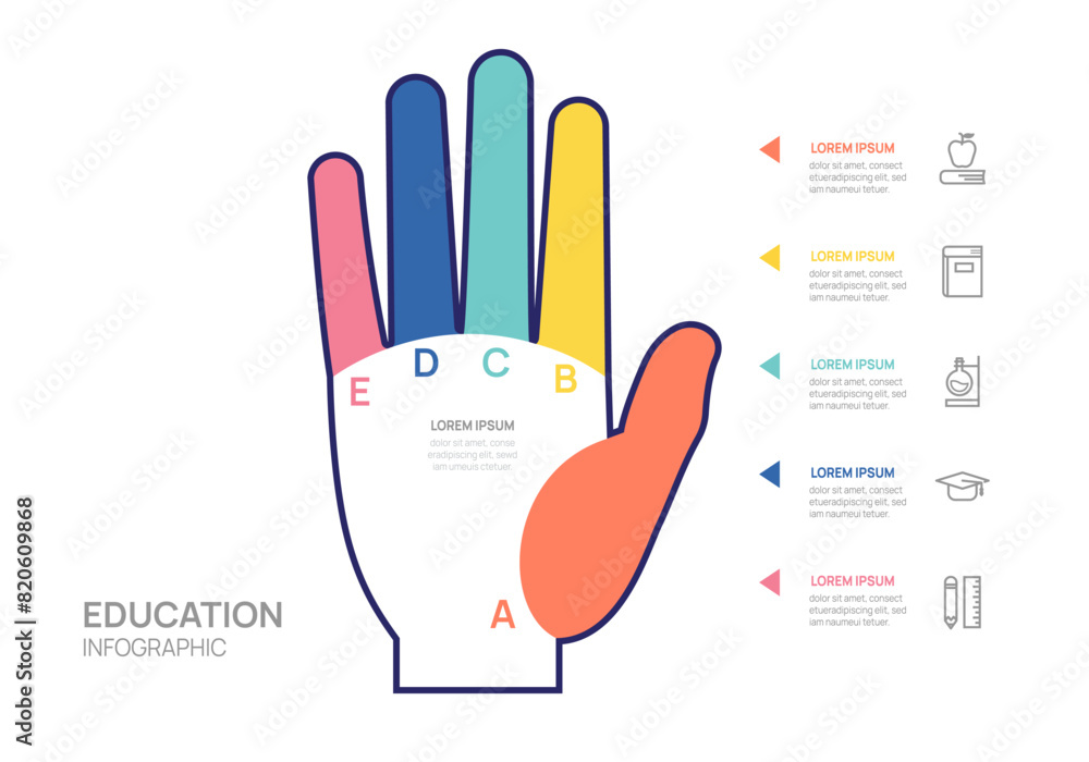 Infographic education hand diagram template. Modern Timeline 5 step ...