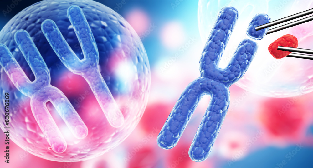 Replacing a damaged X chromosome section. Genetic engineering, GMO ...