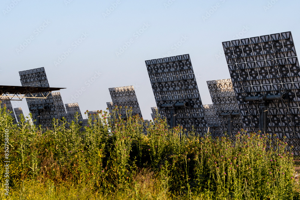 Solar energy panels emerging from wild grass, highlighting the blend of ...