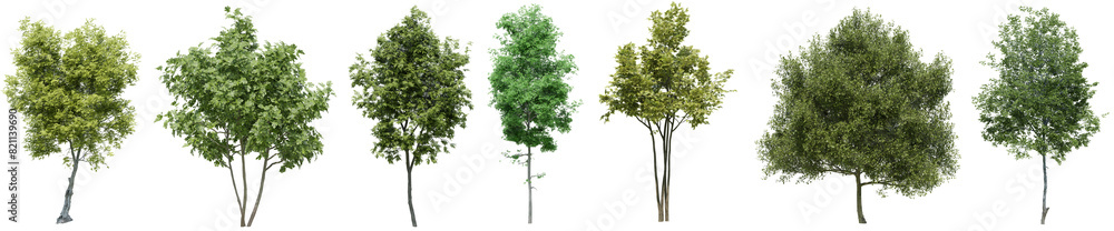Collection of realistic woods trees with isolated on transparent ...