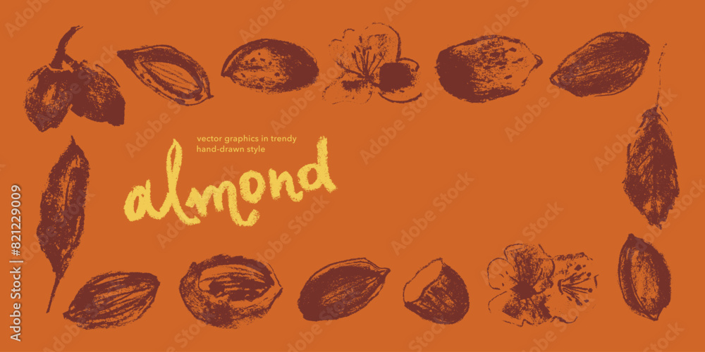Nut border with almonds illustrations for banner background, packaging ...