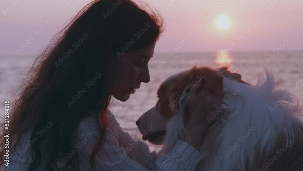 Vidéo Stock Border collie doggy and woman owner silhouette hug kiss ...
