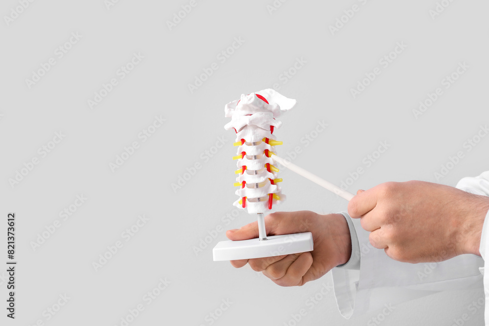 Photo & Art Print Male doctor demonstrating spinal anatomy with ...
