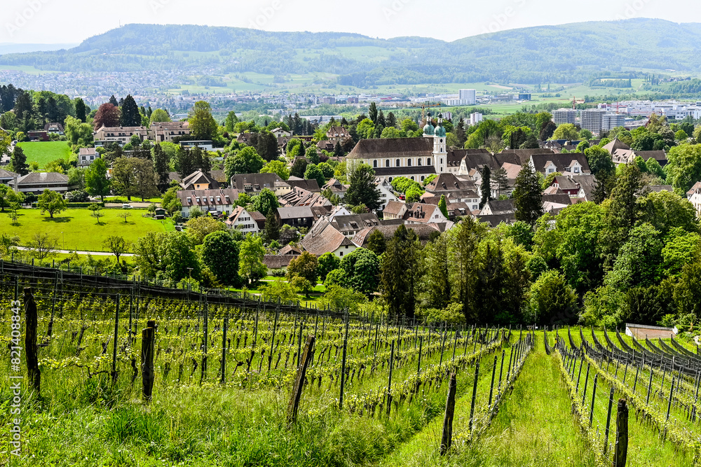 Foto de Arlesheim, Arlesheimer Dom, Dom, Domkirche, Weinberg, Dorf ...