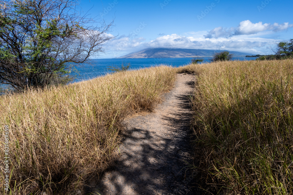 Dry dirt trail through a Seabird Nesting Preserve leading to a Pacific ...