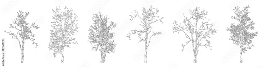 Minimal style cad tree line drawing, Side view, set of graphics trees ...
