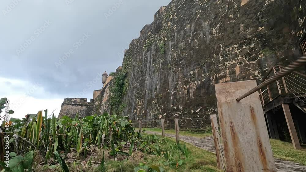 plants growing on wall on el morro fort castle in old san juan puerto ...