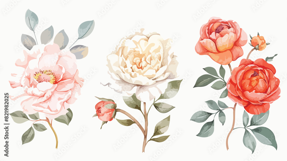 Watercolor flowers Four peonies roses leaf. Hand draw Stock Vector ...