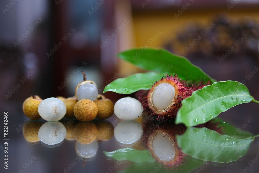 longan lychee fruit The matoa fruit, Pometia pinnata, is a tropical ...