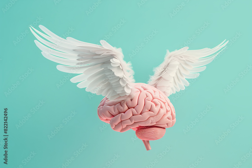 human brain with wings on turquoise background, human brain on white ...
