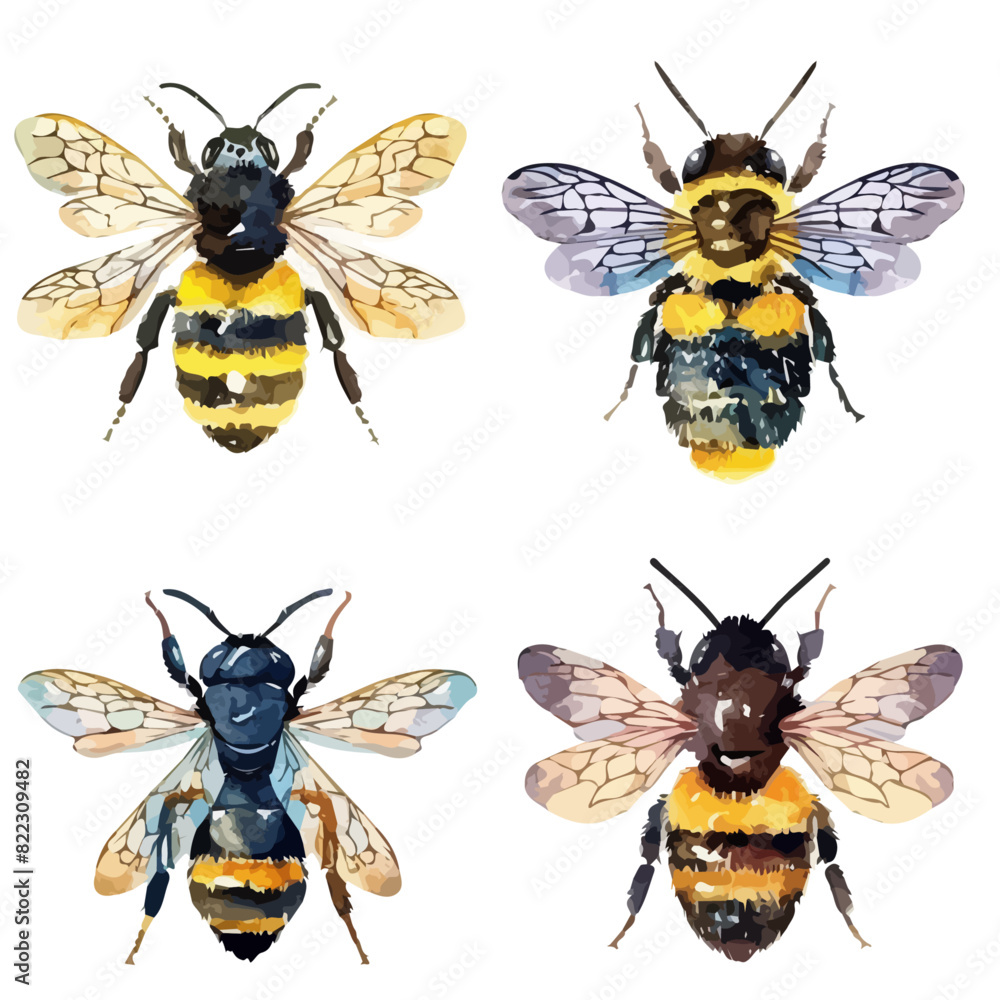 Watercolor drawing clipart of a bee set collection, isolated on a white ...