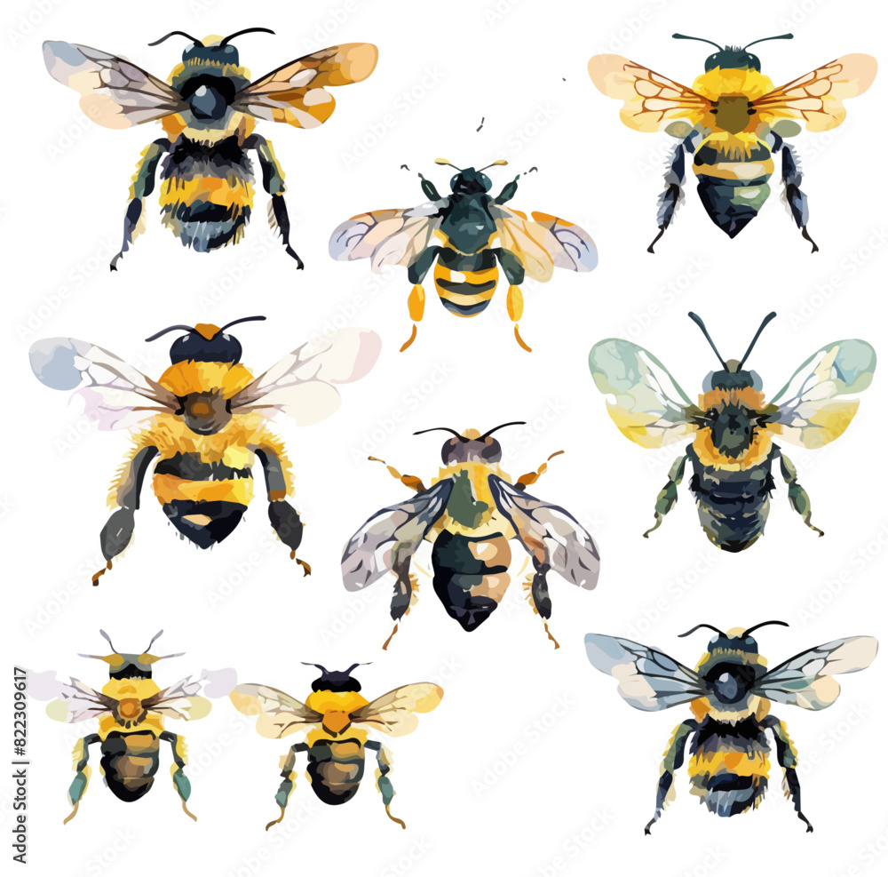 Watercolor drawing vector of a bee set collection, isolated on a white ...