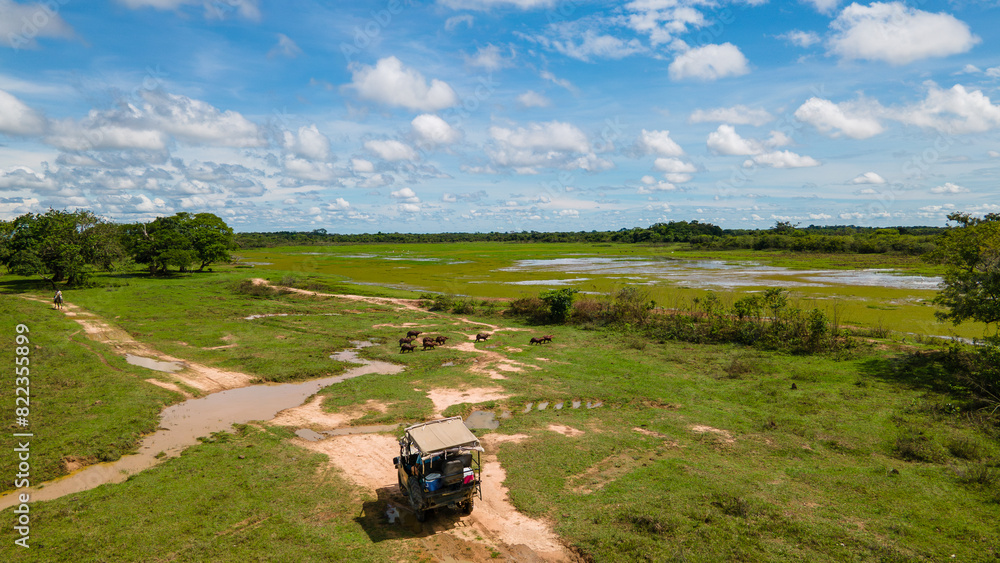 Aerial view of safari vehicle observing capybaras in Hato La Aurora ...