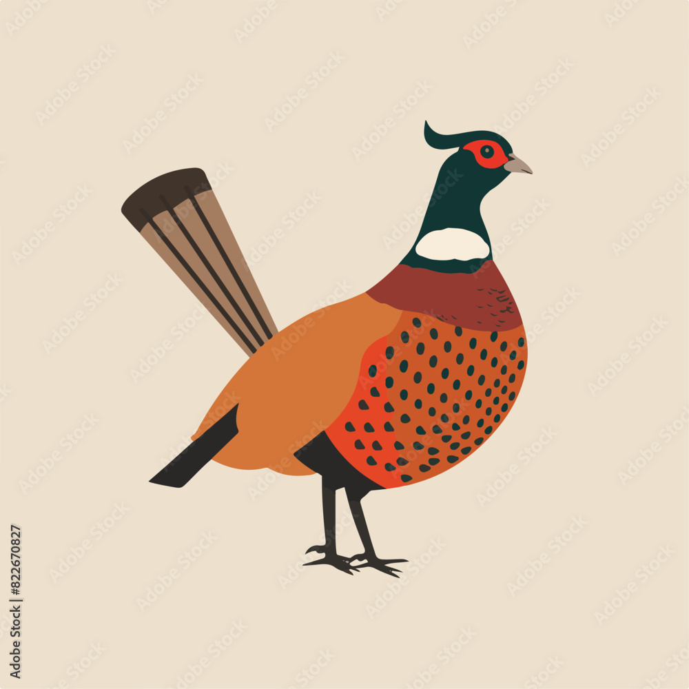 Pheasant in cartoon, doodle style. Image for t-shirt, web, mobile apps ...