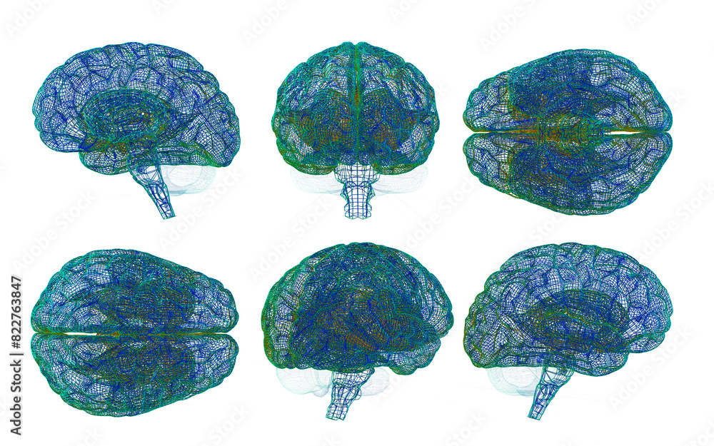 Neural Network Wireframe Brain on Transparent Clipping Mask PNG ...