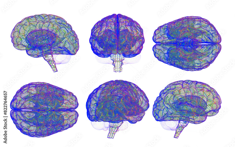 Neural Network Wireframe Brain on Transparent Clipping Mask PNG ...