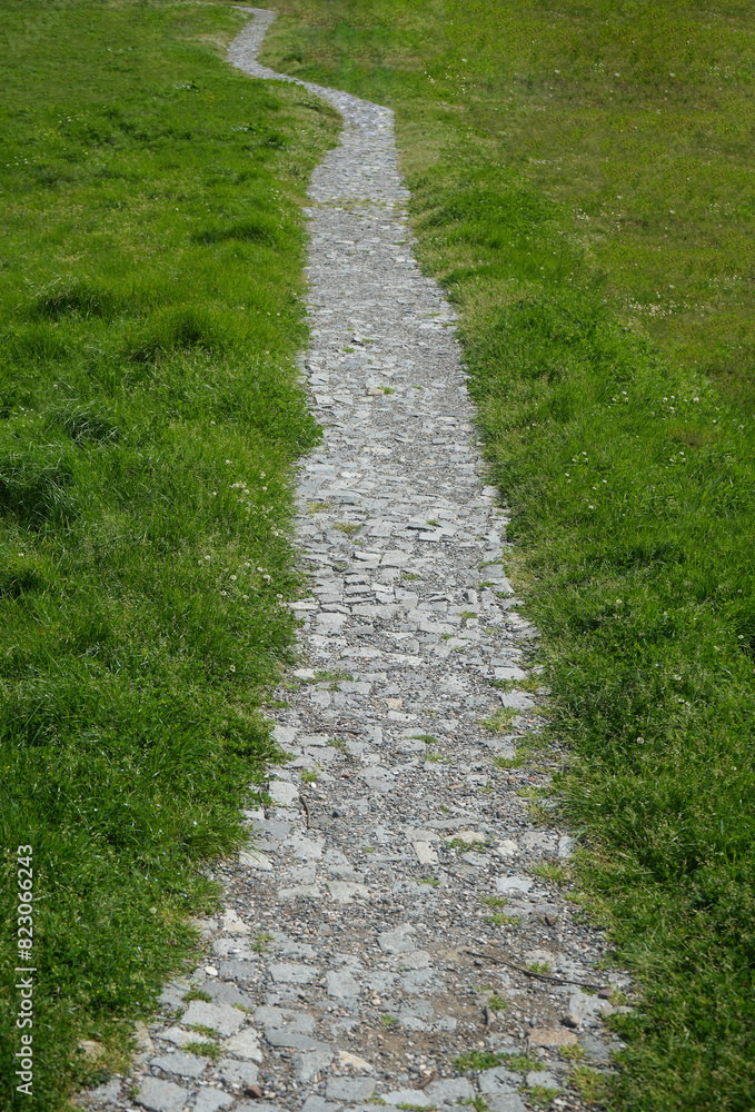 cobbled path in green park made of stones. Stone paved road along grass ...