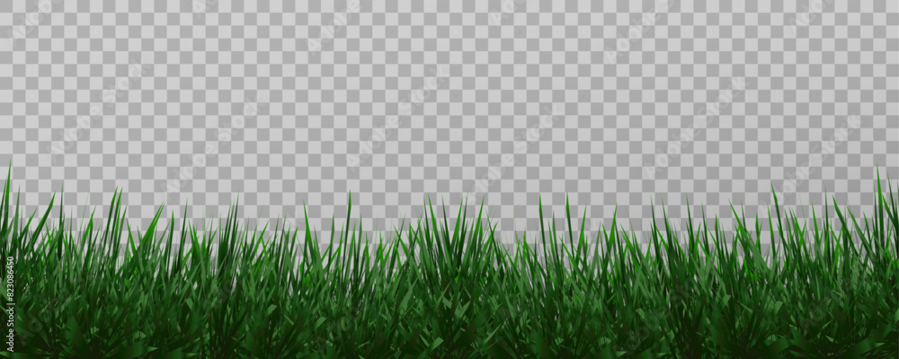 Vetor de Grass border, vector illustration. Vector grass, lawn. Grass ...