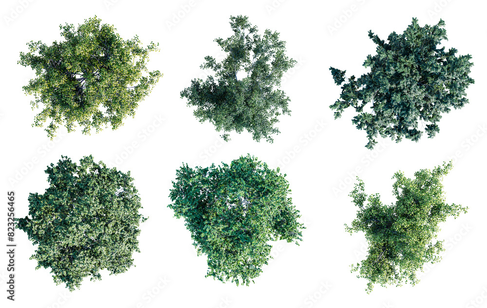 Deciduous trees top view collection isolated on transparent background ...